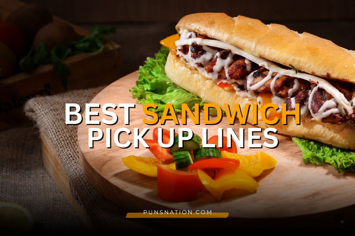 60+ Sandwich Pick Up Lines That’ll Melt Their Heart - punsnation.com