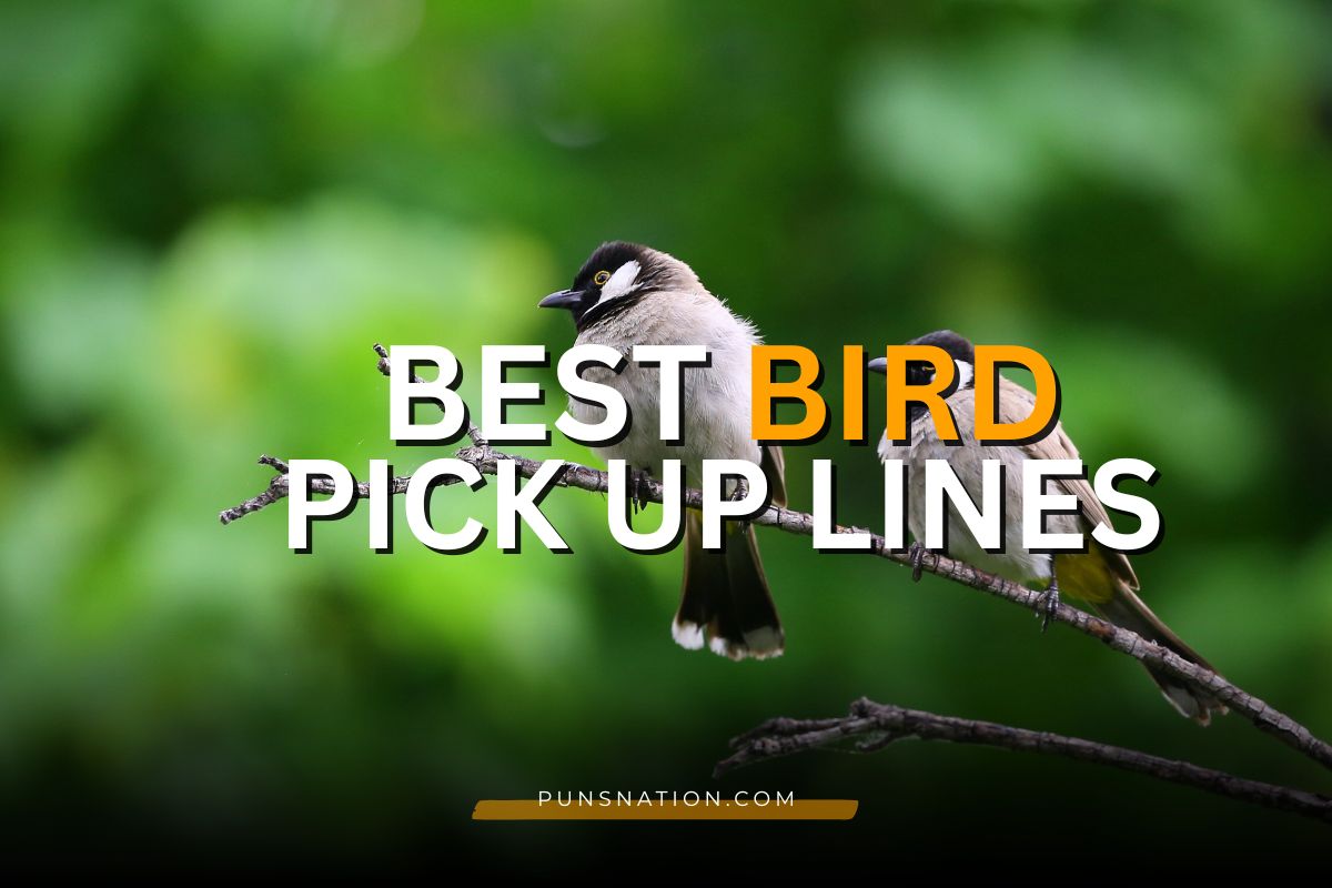 50+ Bird Pick Up Lines to Win Their Heart - punsnation.com