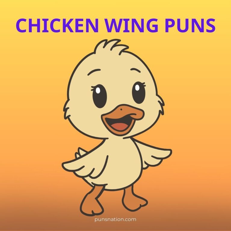 Puns for Every Mood, Laughs for Every Moment - punsnation.com