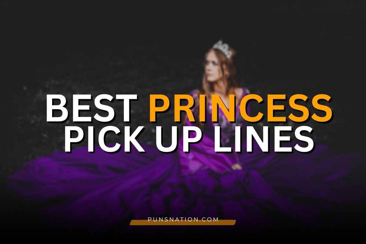 60+ Best Princess Pick Up Lines to Sweep Her Off Her Feet - punsnation.com