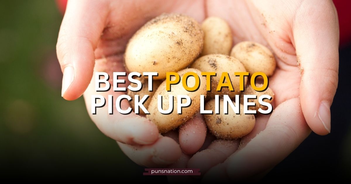 60+ Flirty Potato Pick Up Lines to Make Your Day - punsnation.com