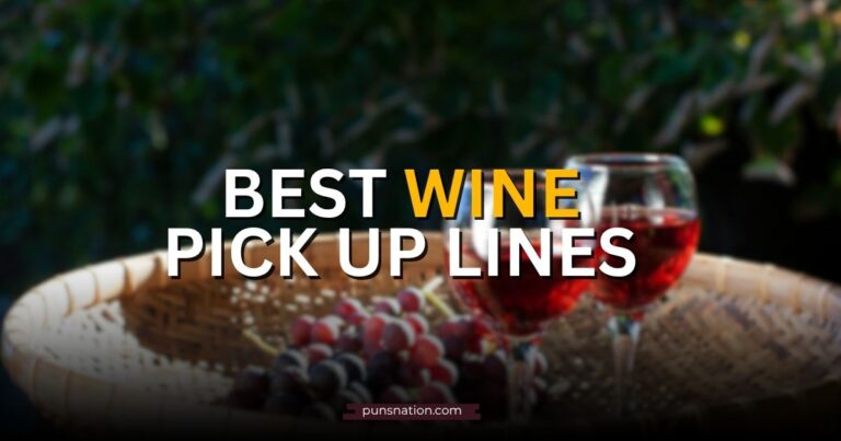 60+ Wine Pick Up Lines to Make Your Crush Smile - punsnation.com
